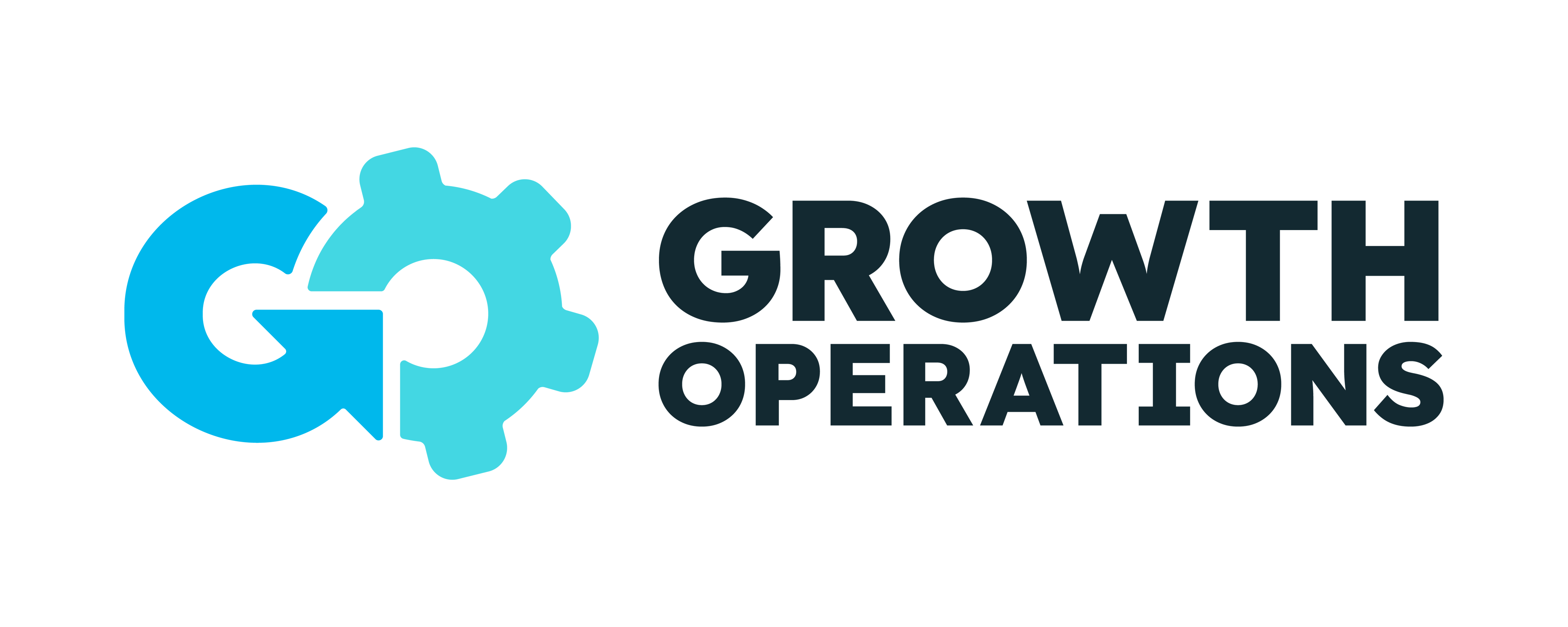 Growth Operations | Solutions That Scale